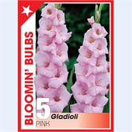 Bloomin' Bulbs Summer Red Bulb Pack | Bunnings Warehouse